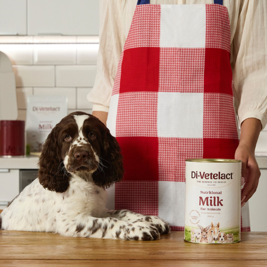 Di-Vetelact | Australian Premium Milk Supplement for Animals