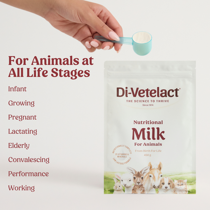 Di-Vetelact Nutritional Milk For Animals