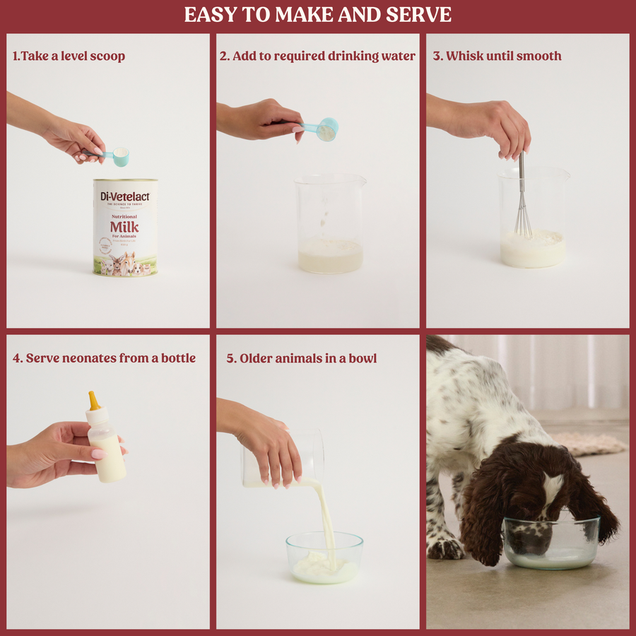 Di-Vetelact Nutritional Milk For Animals