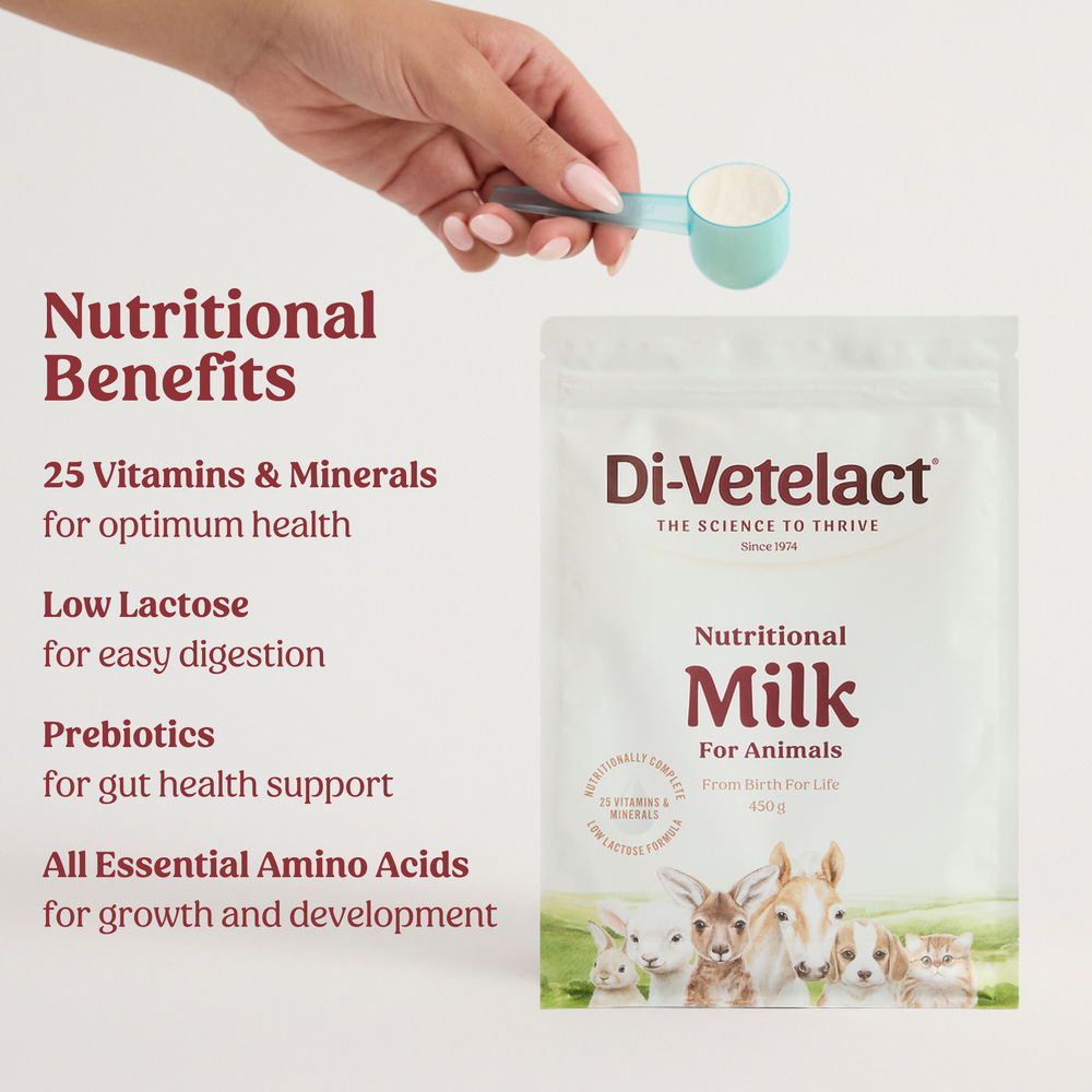 Di-Vetelact Nutritional Milk For Animals