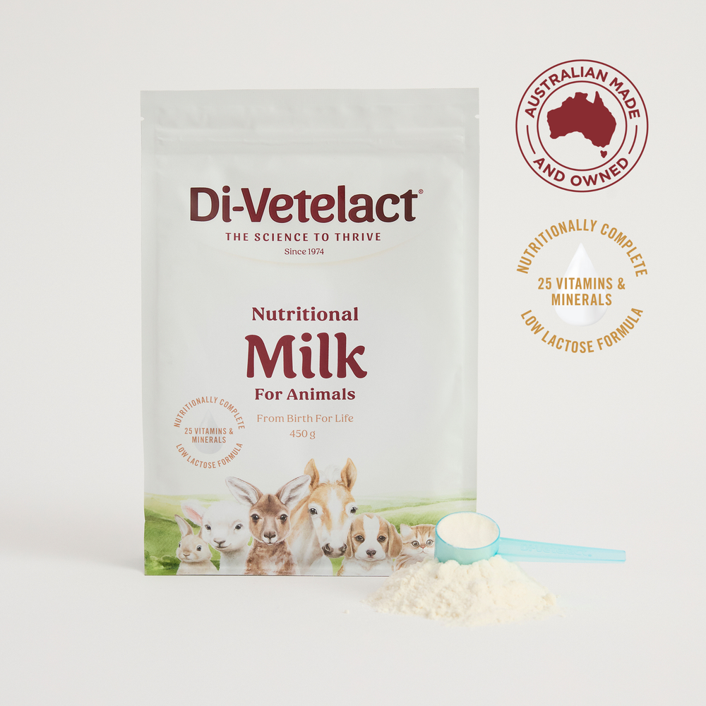 Di-Vetelact | Australian Premium Milk Supplement for Animals