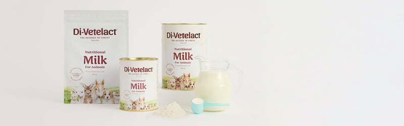 Di-Vetelact | Australian Premium Milk Supplement for Animals