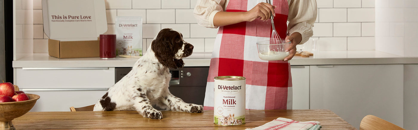 Di-Vetelact | Australian Premium Milk Supplement for Animals