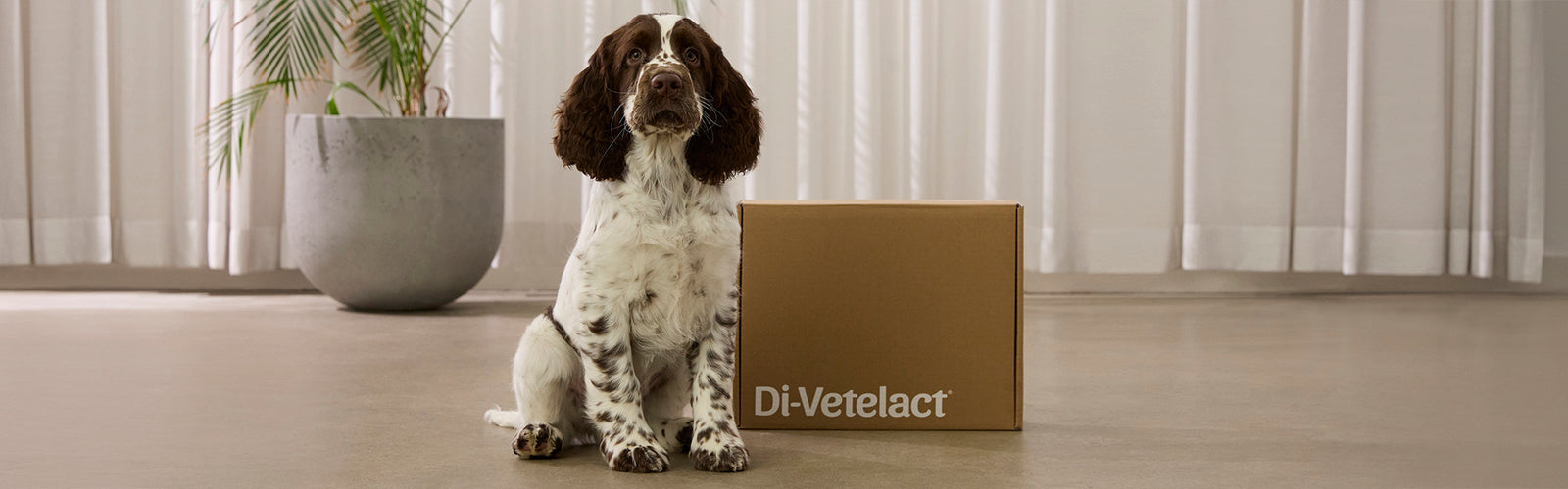Di-Vetelact | Australian Premium Milk Supplement for Animals