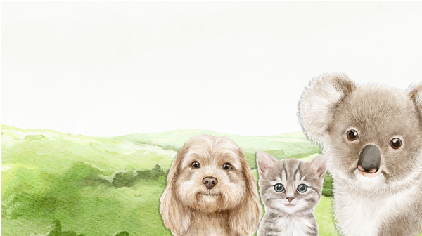 Di-Vetelact | Australian Premium Milk Supplement for Animals