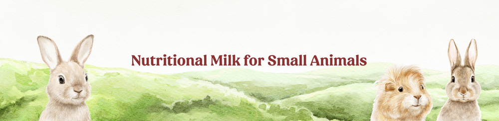 Small Animal Nutritional Milk & Supplement – Di-Vetelact Powder